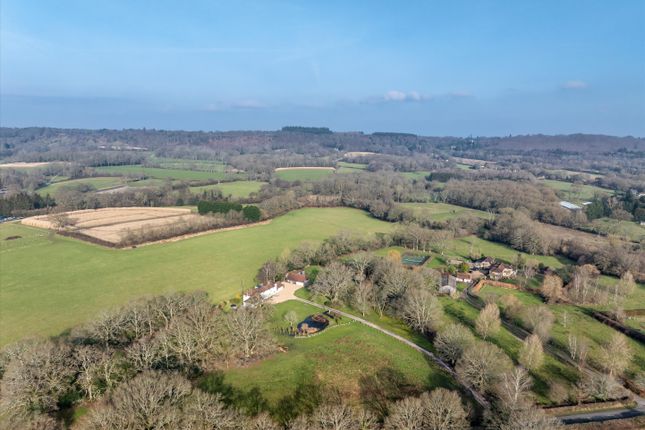 Rake Road, Milland, Liphook, West Sussex GU30, 6 bedroom detached house ...