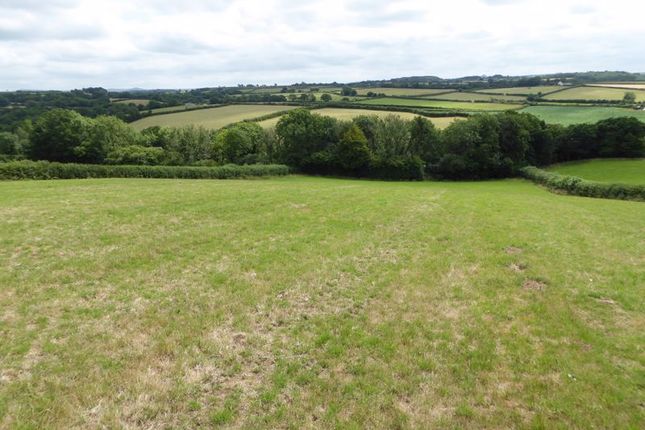 Lewdown, Okehampton EX20, farm for sale - 62055663 | PrimeLocation