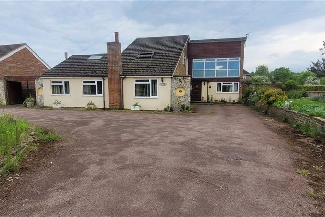 Fishers Green, Stevenage SG1, 5 bedroom detached house for sale ...