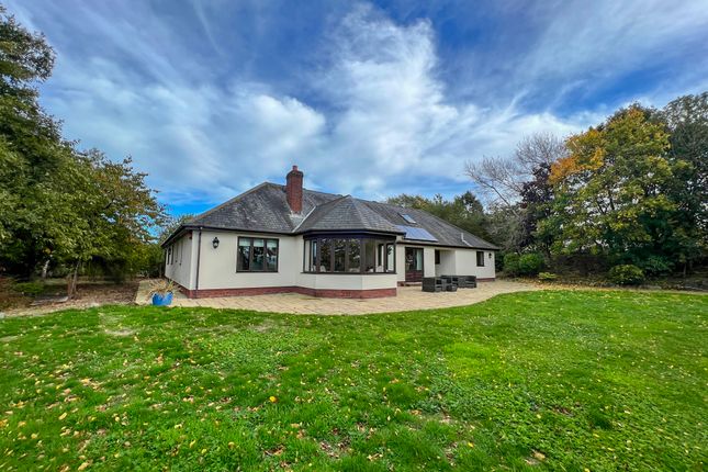 Bungalows to rent in Devon | Houses To Let | PrimeLocation