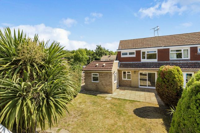 Freemantle Road, Bagshot, Surrey GU19, 3 bedroom semi-detached house ...