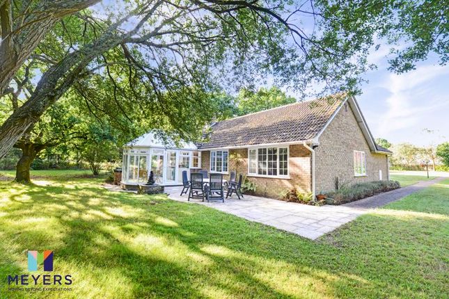 4 bed detached bungalow for sale in Holme Lane, East Stoke, Wareham ...