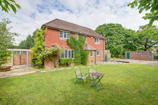 Lower Dicker, Hailsham BN27, 4 bedroom detached house for sale ...