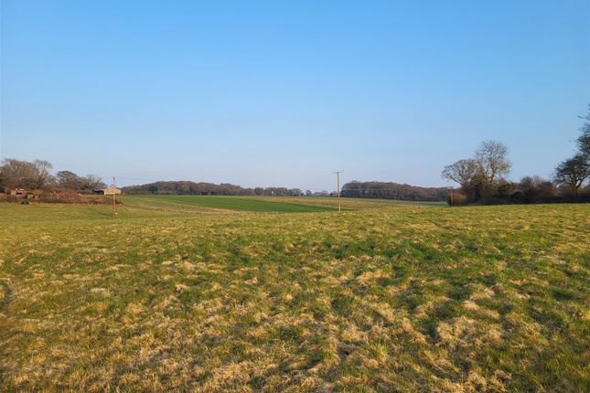 Preston Candover Road, Upper Wield, Alresford SO24, land for sale ...