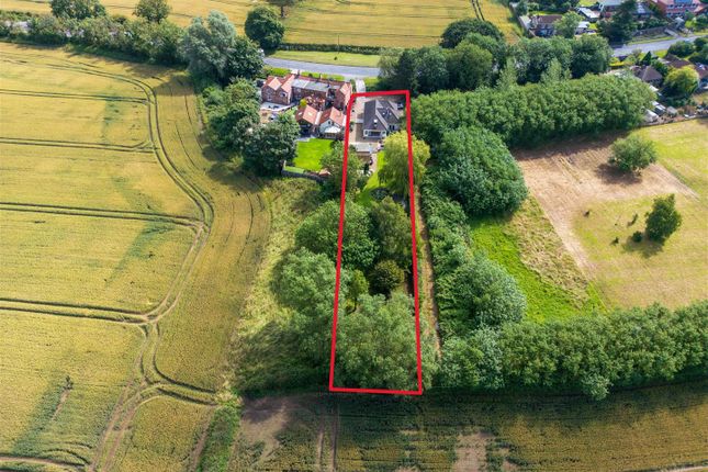 Bridlington Road, Beeford, Driffield YO25, 5 bedroom detached bungalow ...