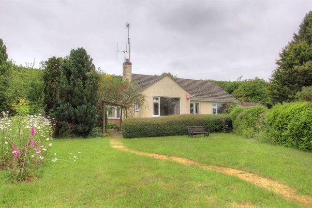 Smallridge, Axminster EX13, 2 bedroom detached bungalow for sale ...