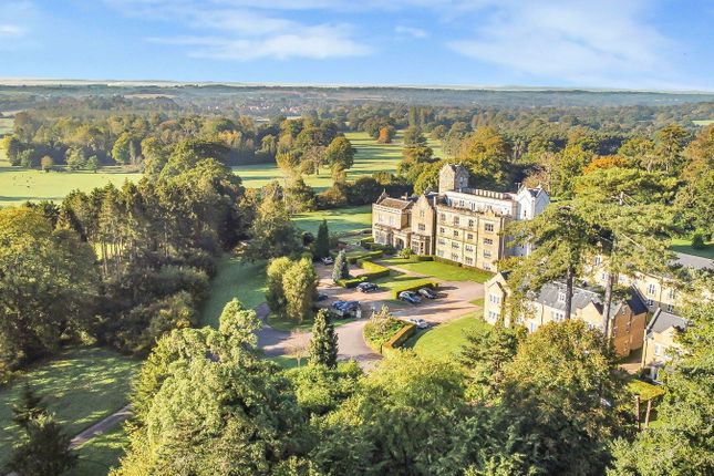 Homes for Sale in Warnham - Buy Property in Warnham - Primelocation