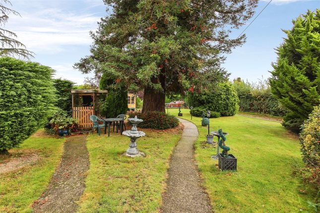 Oxenhoath Road, Hadlow, Tonbridge, Kent TN11, 3 bedroom detached house ...