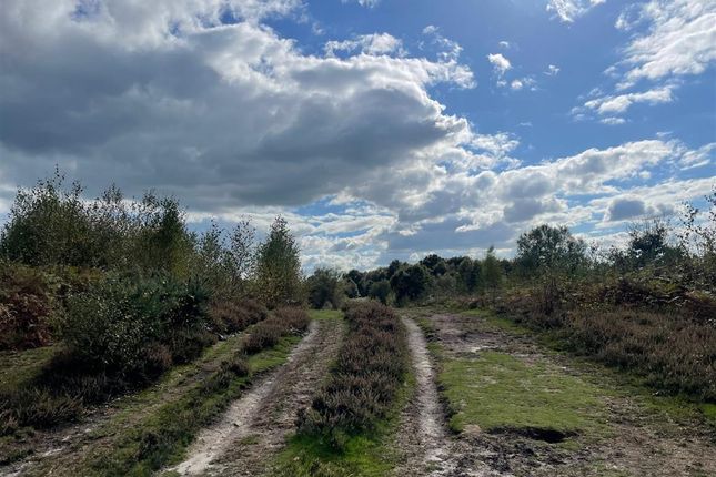 Haywards Heath Road, North Chailey, Lewes, East Sussex BN8, 3 bedroom ...