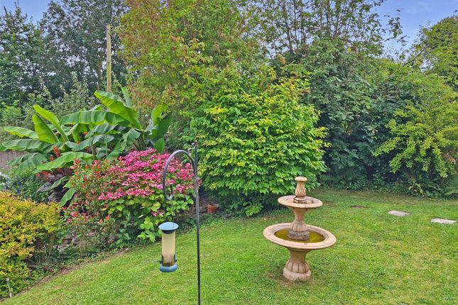 Swimbridge, Barnstaple EX32, 7 bedroom detached house for sale ...