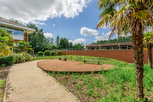 Lime Tree Way, Basingstoke RG24, 2 bedroom flat to rent - 62612383 ...