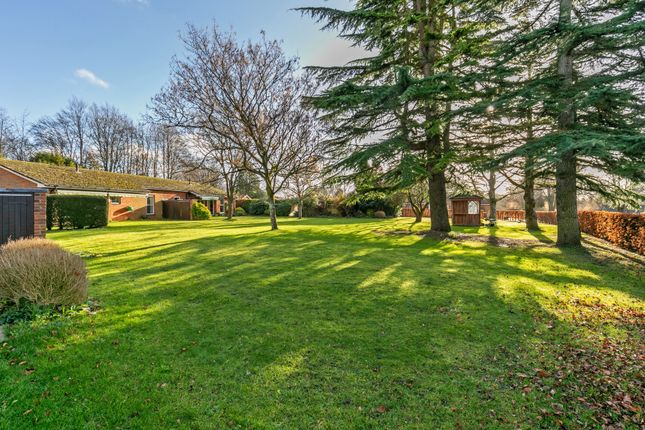 Headbourne Worthy House, Winchester SO23, 3 bedroom detached bungalow ...