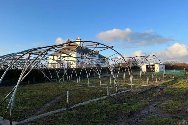 Westray, Orkney KW17, 8 bedroom property for sale - 62063994 ...