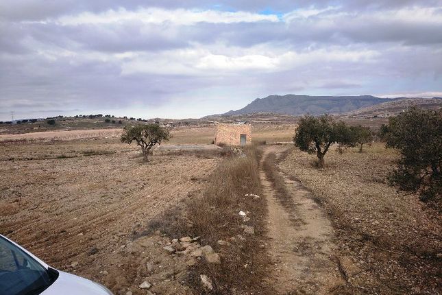 30529 Torre Del Rico, Murcia, Spain, land for sale - 54876152 ...