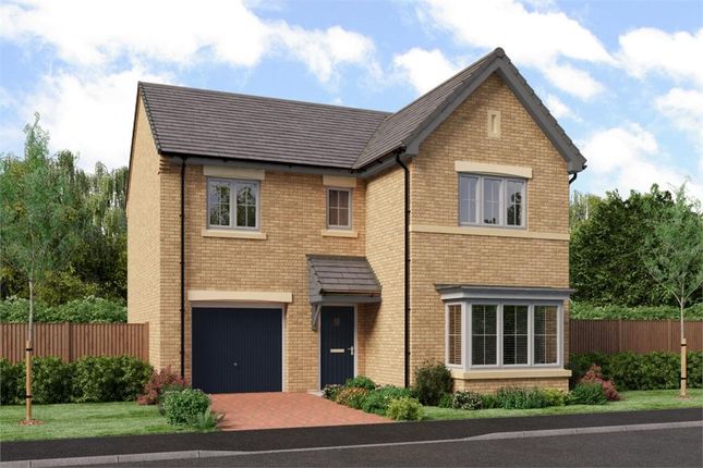 Middlesbrough new homes for sale - Buy new homes in Middlesbrough ...