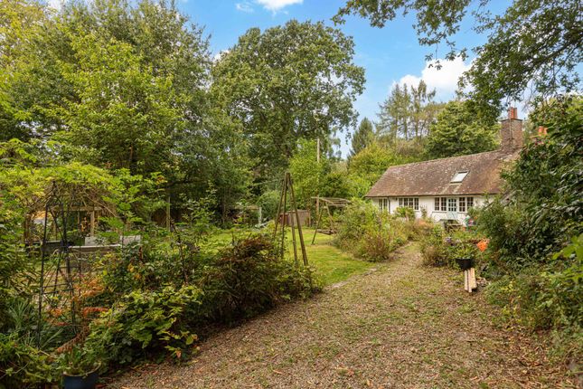 London Road, Forest Row RH18, 4 bedroom detached bungalow for sale ...