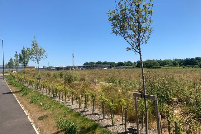 Saltbox Business Park, Trade And Logistics City, Shripney Road, Bognor ...