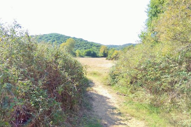 Agion Oros, Kilkis, Gr, land for sale - 69598131 | PrimeLocation