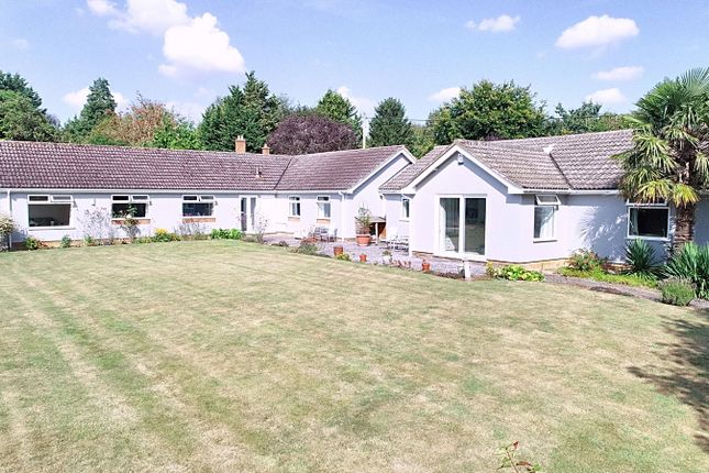 Malting End, Wickhambrook, Newmarket CB8, 5 bedroom bungalow for sale ...