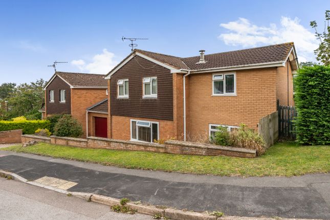 Lime Tree Mead, Tiverton, Devon EX16, 4 bedroom detached house for sale - 68398329 | PrimeLocation