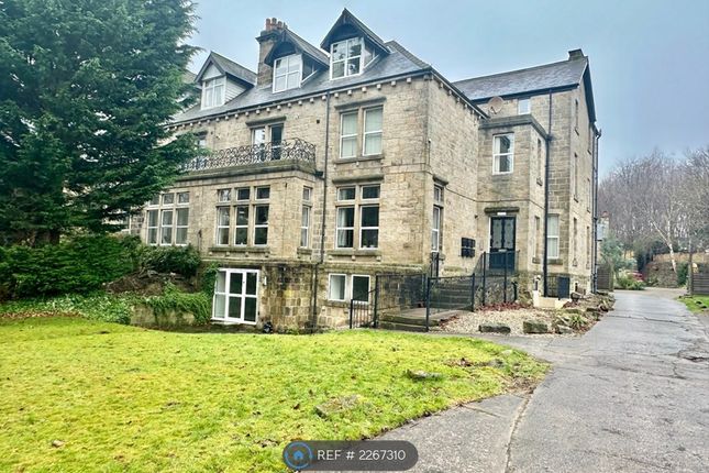 Homes to Let in Horsforth - Rent Property in Horsforth - Primelocation