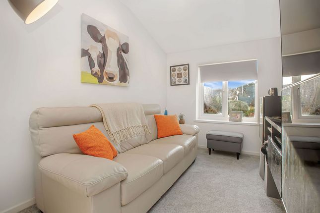 Sycamore Grove, Ackenthwaite LA7, 5 bedroom detached bungalow for sale ...