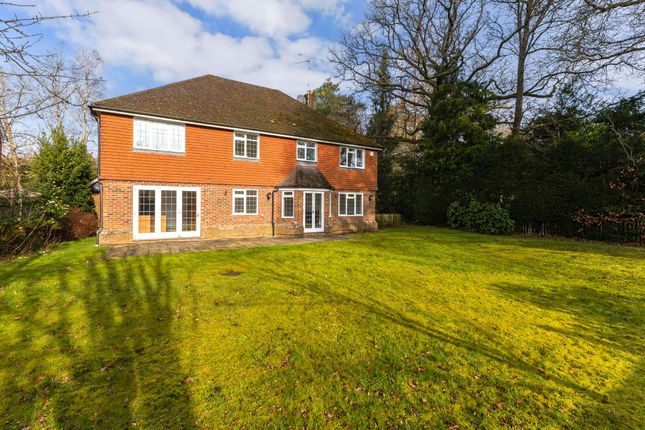 The Avenue, Rowledge, Farnham GU10, 5 bedroom detached house for sale ...