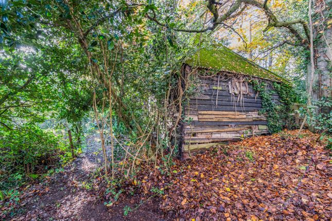 Provender Lane, Norton, Faversham, Kent ME13, 6 bedroom detached house ...