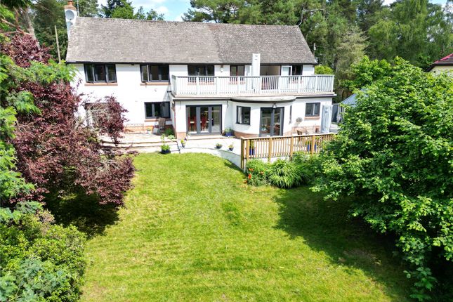 Houses for Sale in Ringwood - Ringwood Houses to Buy - Primelocation