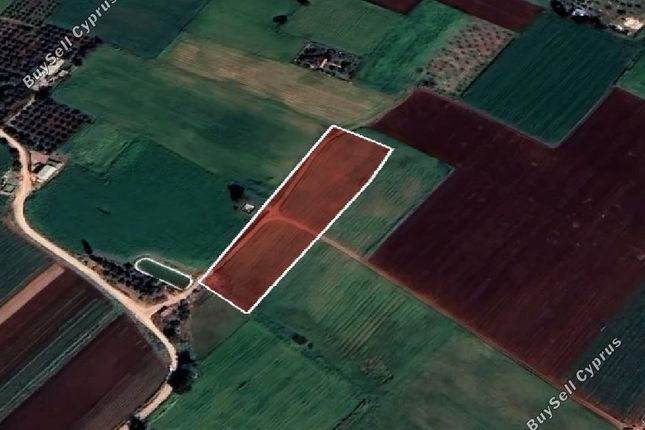 Avgorou, Famagusta, Cyprus, land for sale - 65489895 | PrimeLocation
