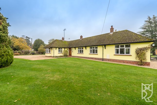 Church Road, Gosfield, Halstead, Essex CO9, 4 bedroom detached bungalow ...