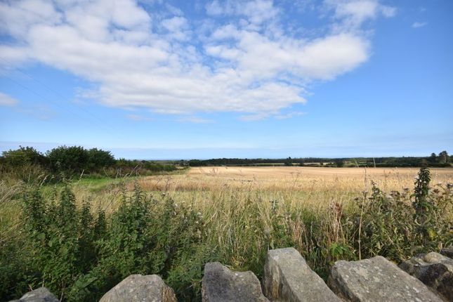 Chathill NE67, 2 bedroom cottage for sale - 65371024 | PrimeLocation