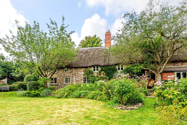 Homes for Sale in Hemyock - Buy Property in Hemyock - Primelocation