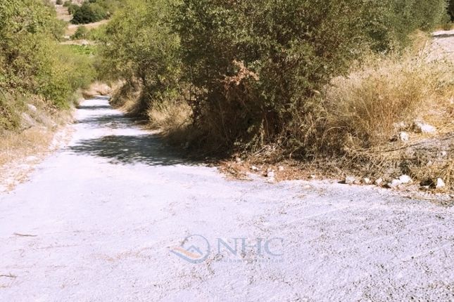 Lemona, Paphos, Cyprus, land for sale - 62593562 | PrimeLocation