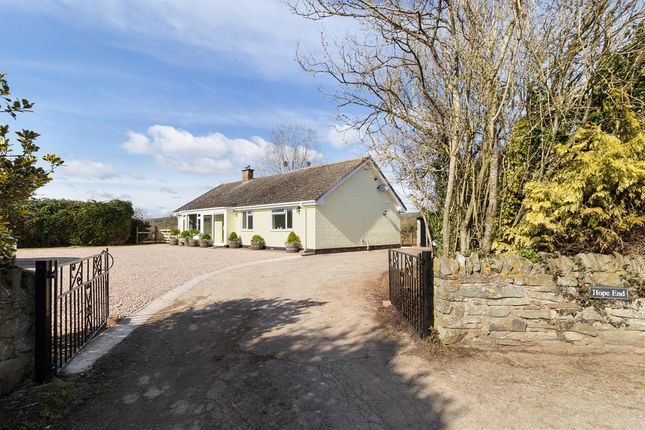 Hope End, Ullingswick, Hereford, Herefordshire HR1, 3 bedroom bungalow ...
