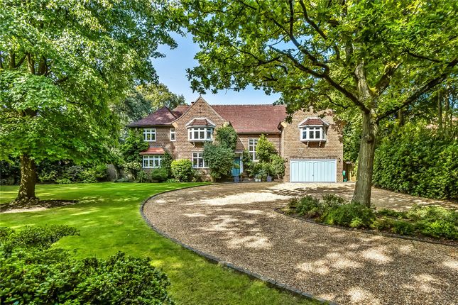 Homes for Sale in Chobham - Buy Property in Chobham - Primelocation