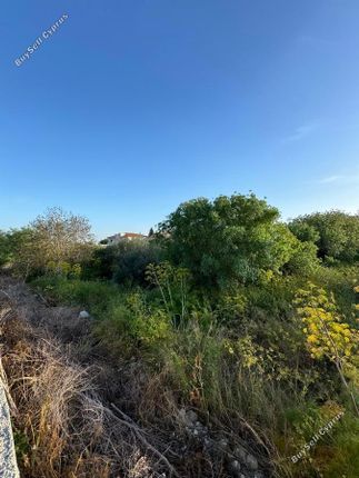 Mesogi, Paphos, Cyprus, land for sale - 69078239 | PrimeLocation