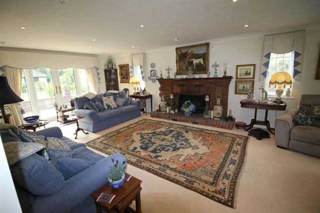Harmer Green Lane, Digswell, Welwyn AL6, 4 bedroom detached house for ...