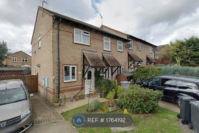 Homes to Let in Kettering - Rent Property in Kettering - Primelocation
