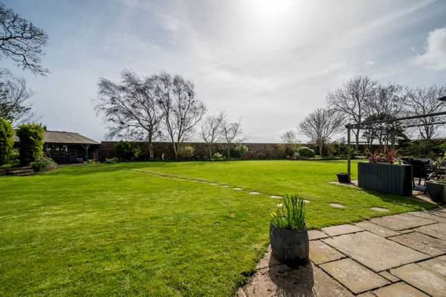 Inverkeilor, Arbroath DD11, 6 bedroom cottage for sale - 67166937 ...