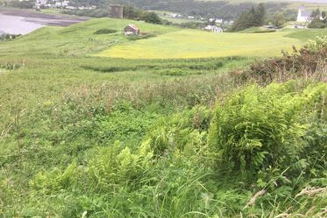 South Cuil, Uig IV51, land for sale - 67463150 | PrimeLocation