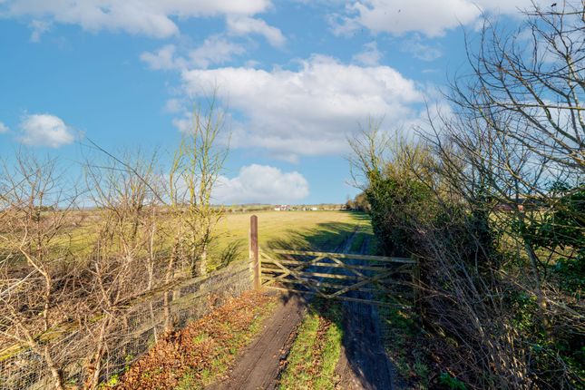 Shepreth Road, Fowlmere SG8, land for sale - 66537931 | PrimeLocation