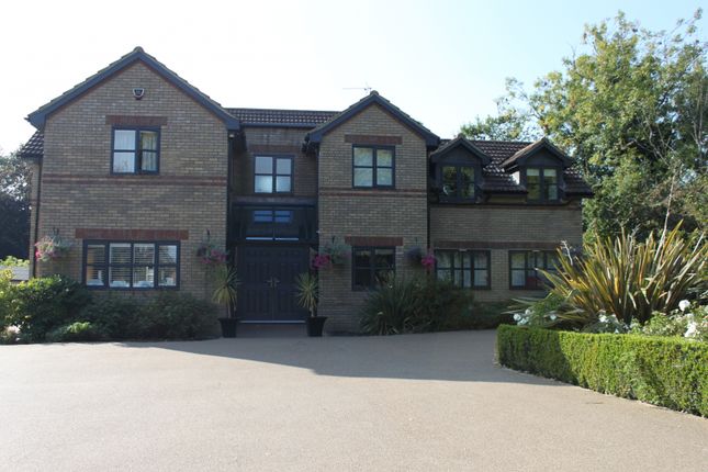 Homes for Sale in Ramsey Road, Kings Ripton, Huntingdon PE28 - Buy ...