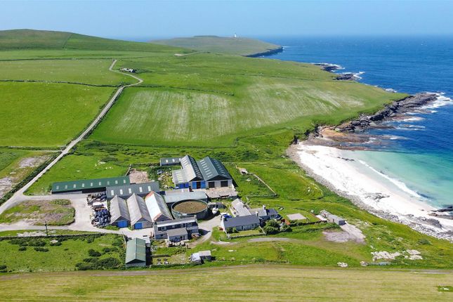 Noup Farm, Westray, Orkney KW17, farm for sale - 68216233 | PrimeLocation