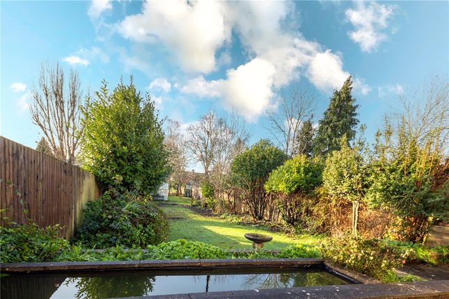 Laburnum Grove, Chiswell Green, St.Albans AL2, 3 bedroom semi-detached ...