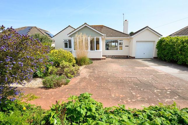 Homes for Sale in Paignton - Buy Property in Paignton - Primelocation