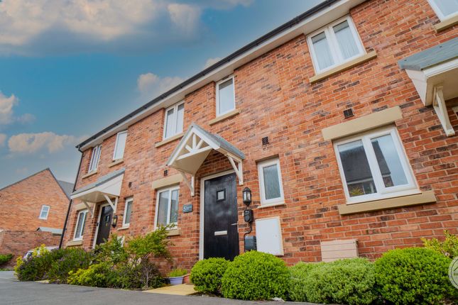 Higher Field Drive, Cranbrook, Exeter EX5, 2 bedroom terraced house for ...
