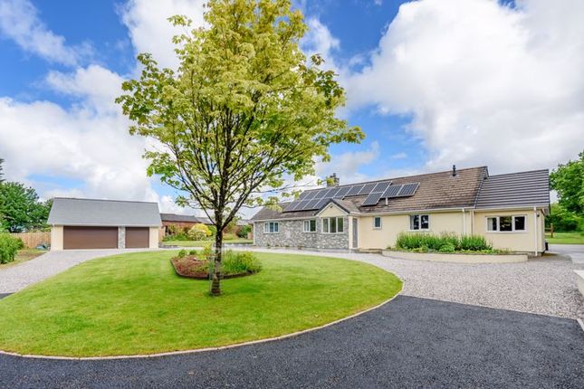 Polyphant, Launceston PL15, 3 bedroom detached bungalow for sale ...