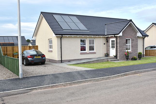 Houses for Sale in DD11 - DD11 Houses to Buy - Primelocation