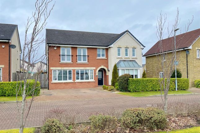 Thomas Tunnock Grove, Uddingston, Glasgow G71, 5 bedroom detached house ...